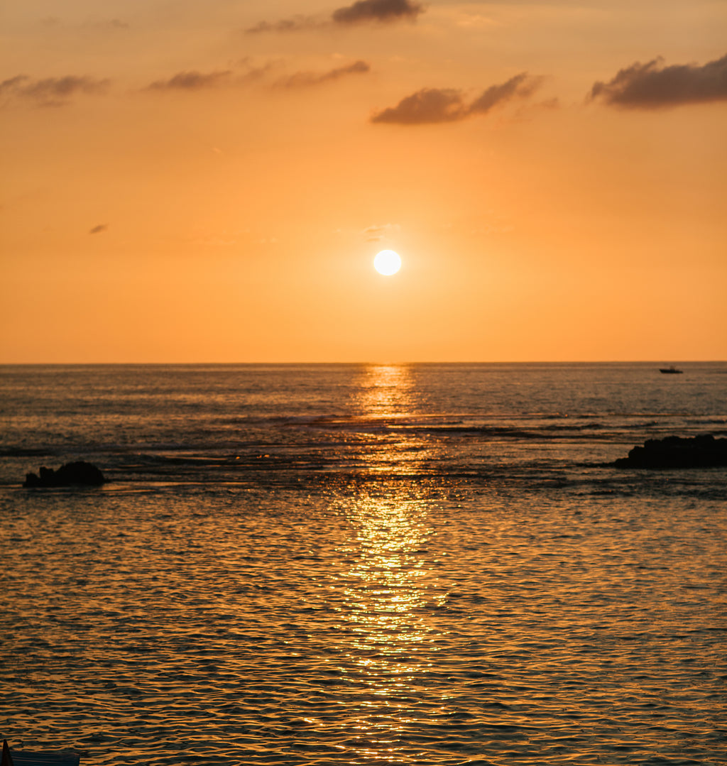 The Journey Home – NAJEAU